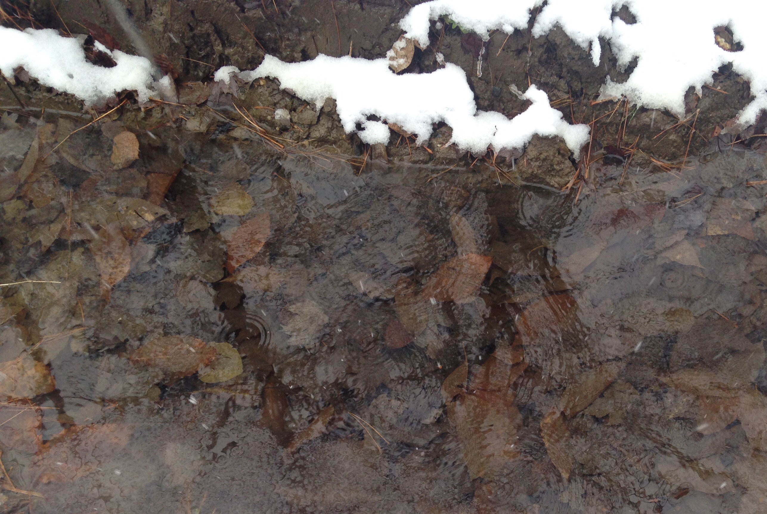 Easy Snow | Stony Soil Vermont