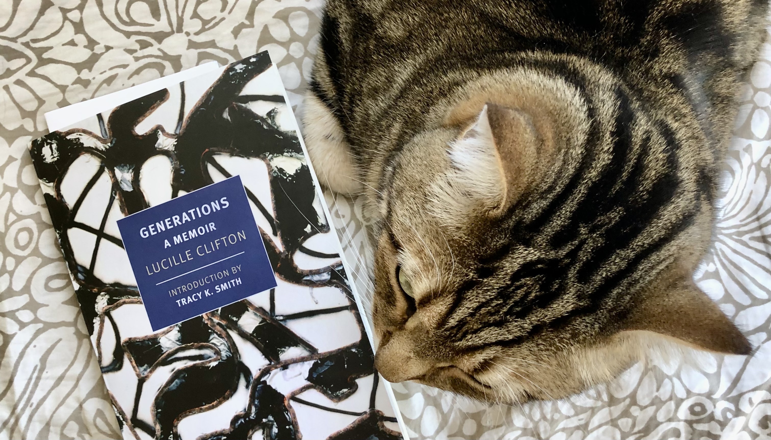 Wild. Domestic. | Stony Soil Vermont