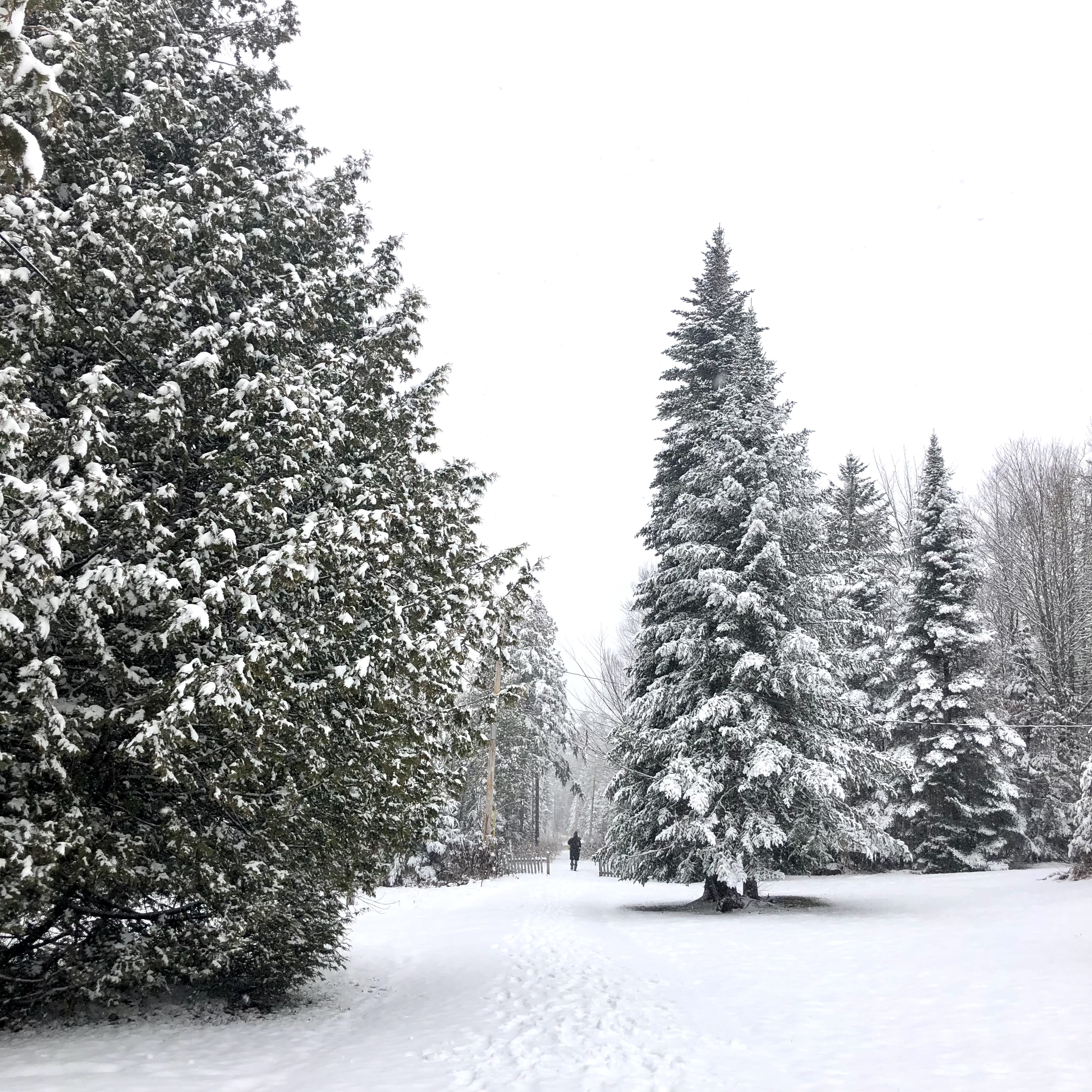 First Snowfall, Again. | Stony Soil Vermont