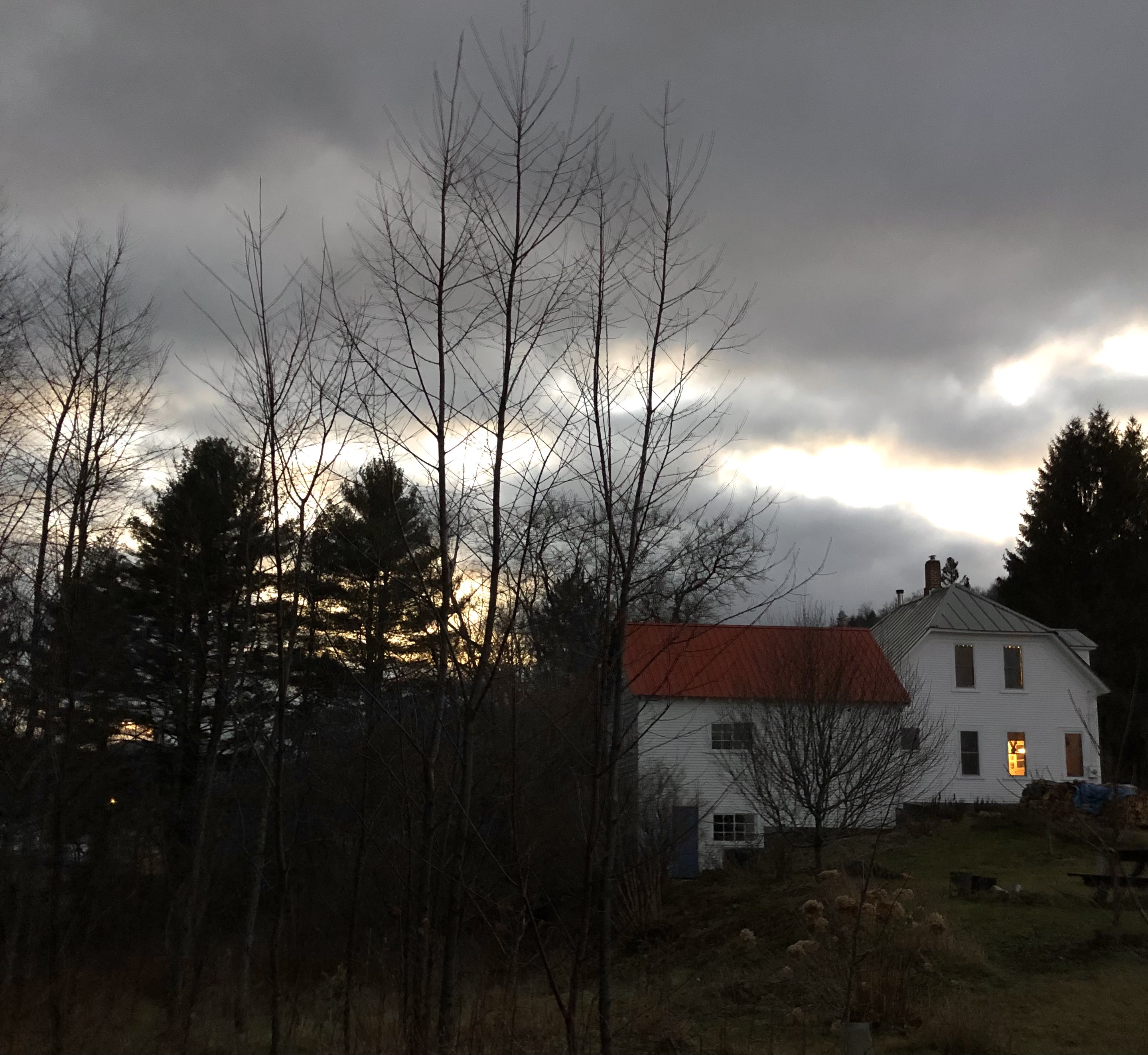 The Beginning of Genius. | Stony Soil Vermont