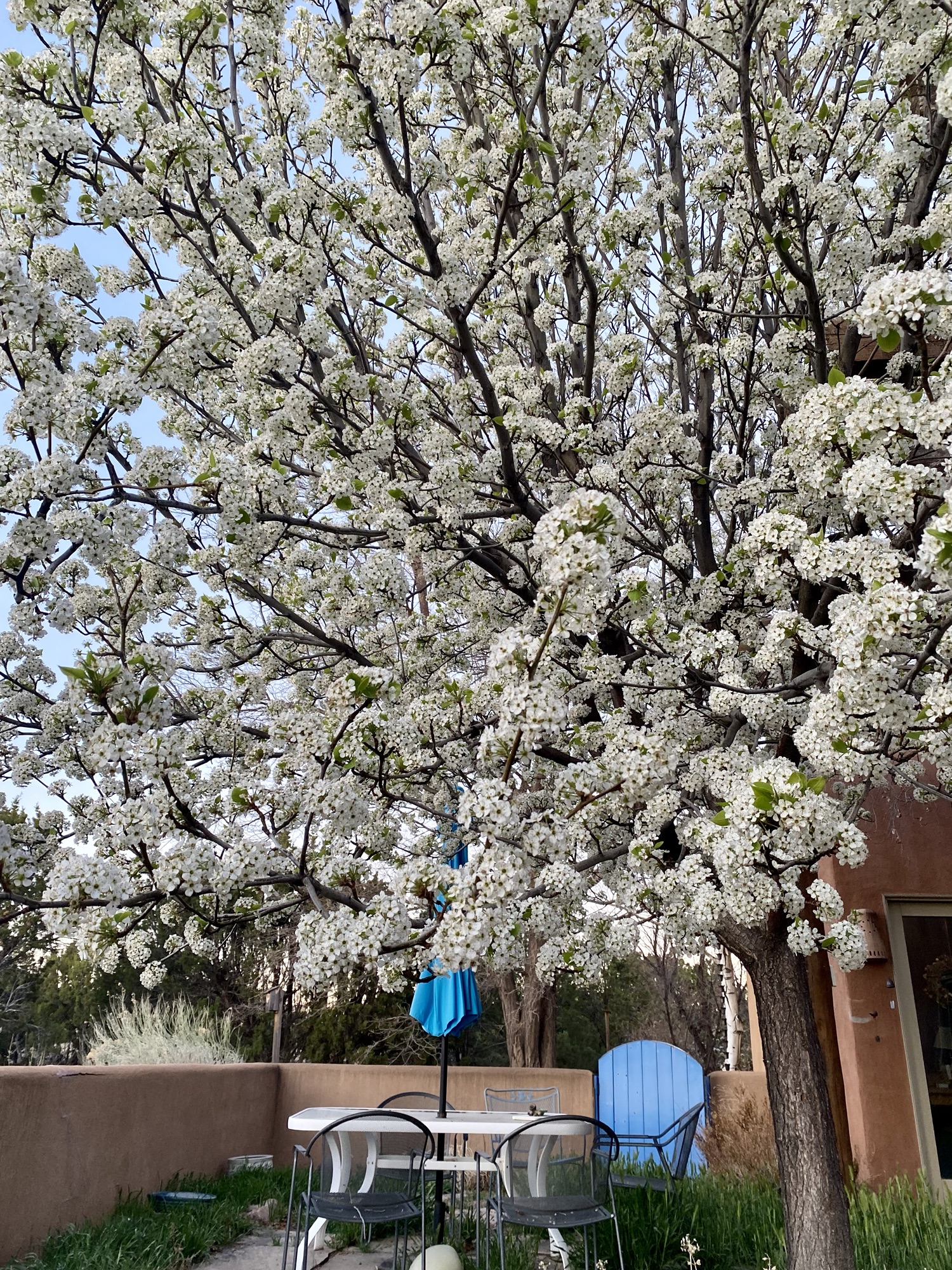 What twenty bucks brings. | Stony Soil Vermont