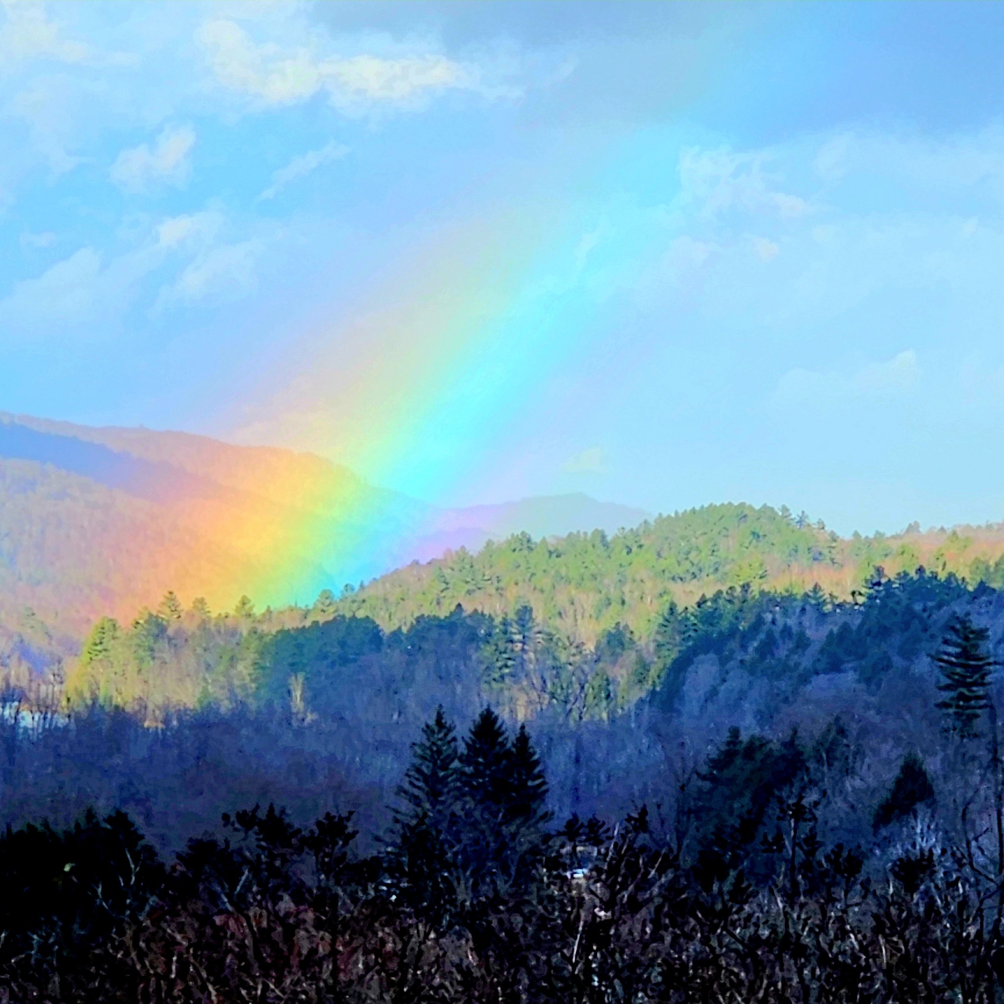 Abrupt turn in the story… | Stony Soil Vermont