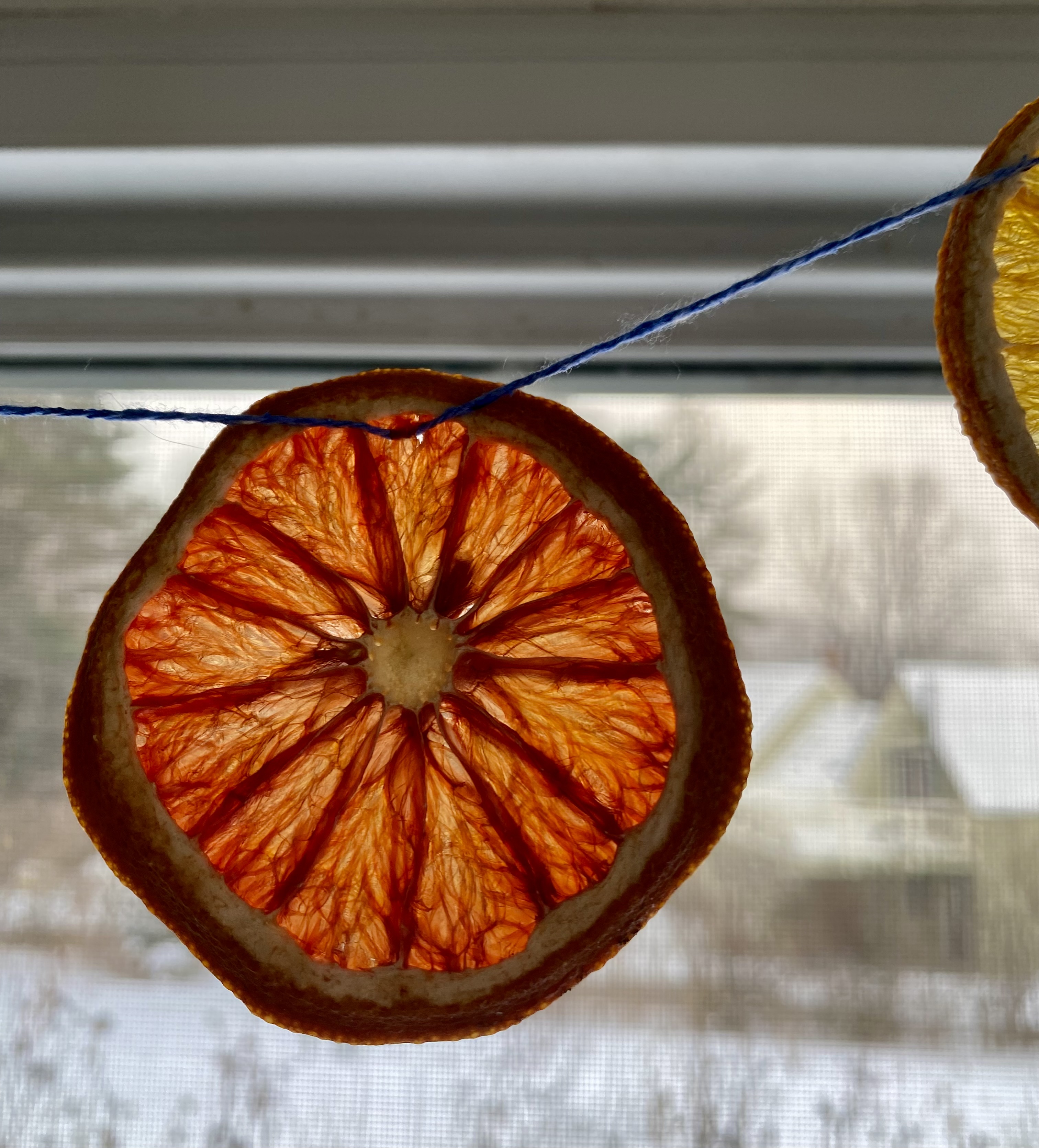 Mirth in the mirthless. A great mercy. | Stony Soil Vermont