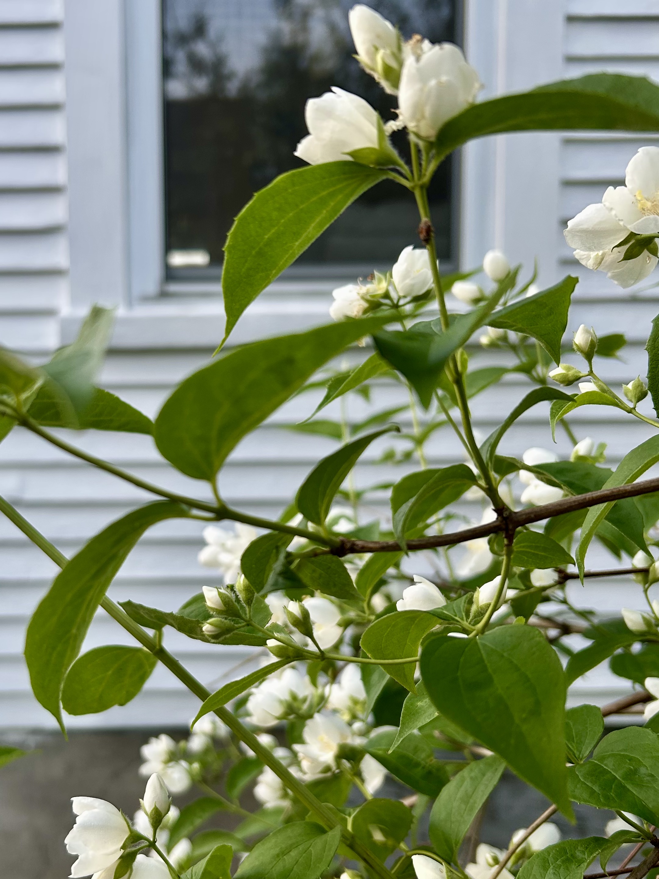 Small Kindnesses. | Stony Soil Vermont